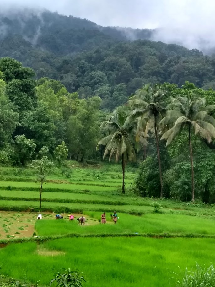 Gallery – budafolklore