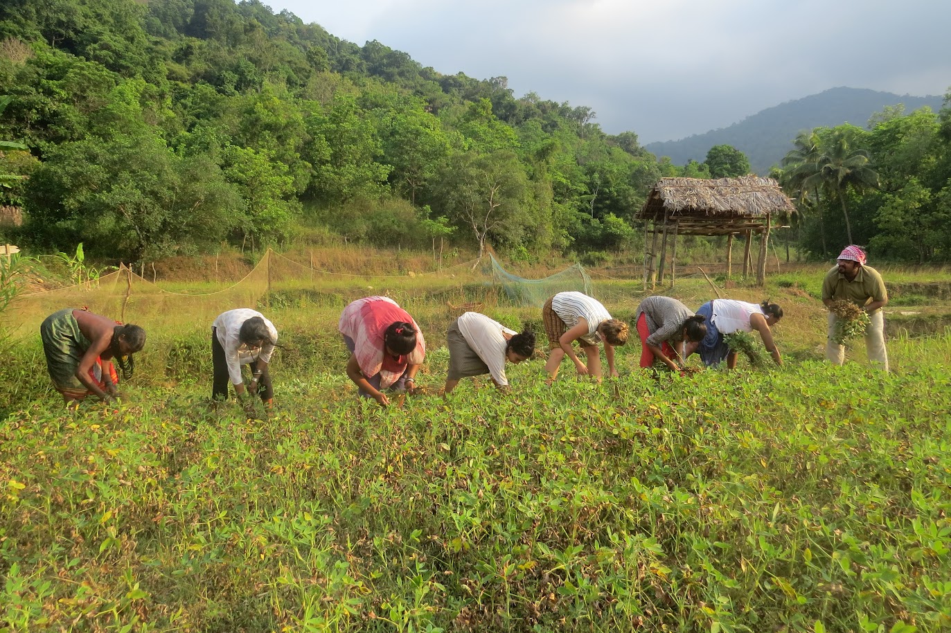 About Us – budafolklore